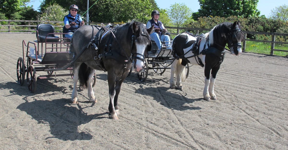 MORE CARRIAGE DRIVING OPPORTUNITIES FOR MANX RESIDENTS » Manx Lottery Trust